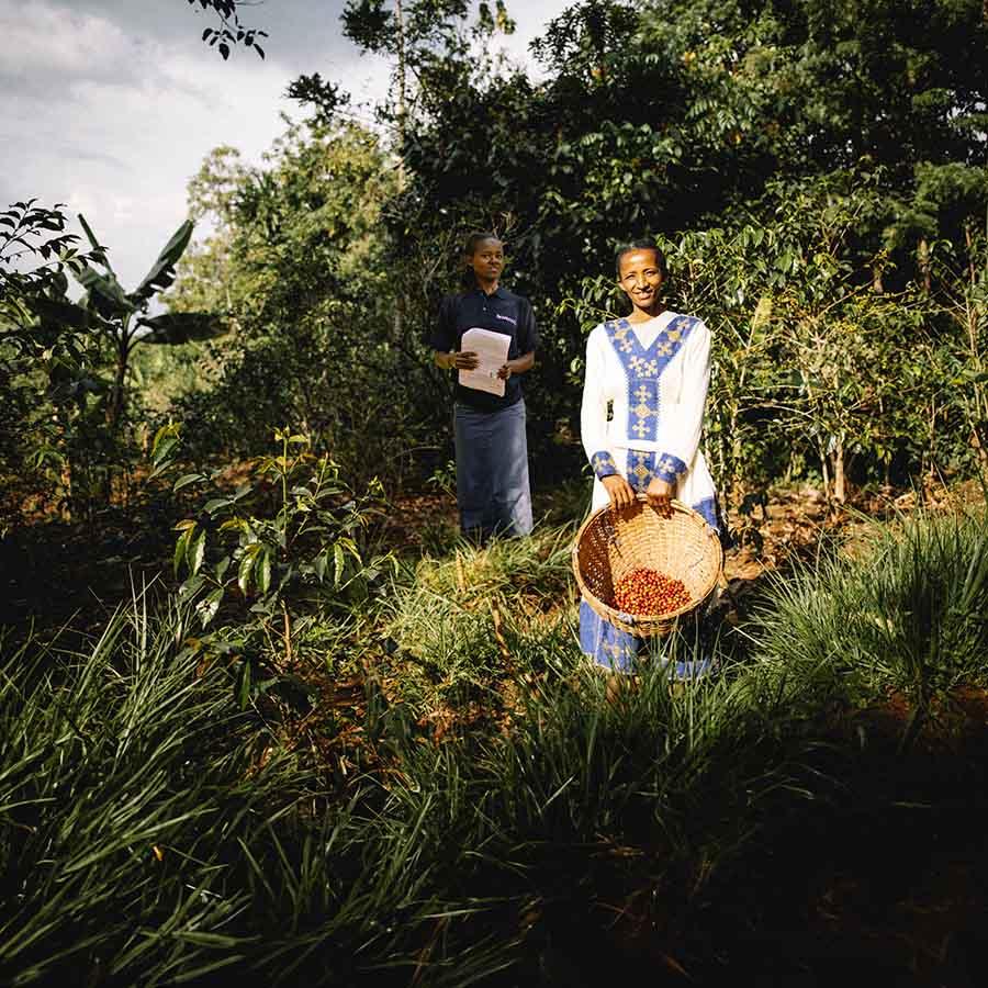 Discover the AAA Sustainable Quality™ Program | Nespresso